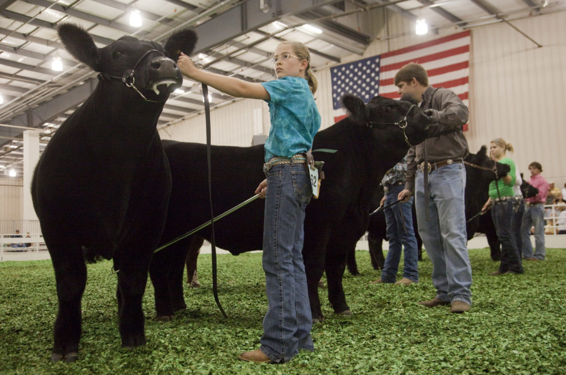 Photo gallery: 700-pound butter scultpure, pig races highlight Kansas ...